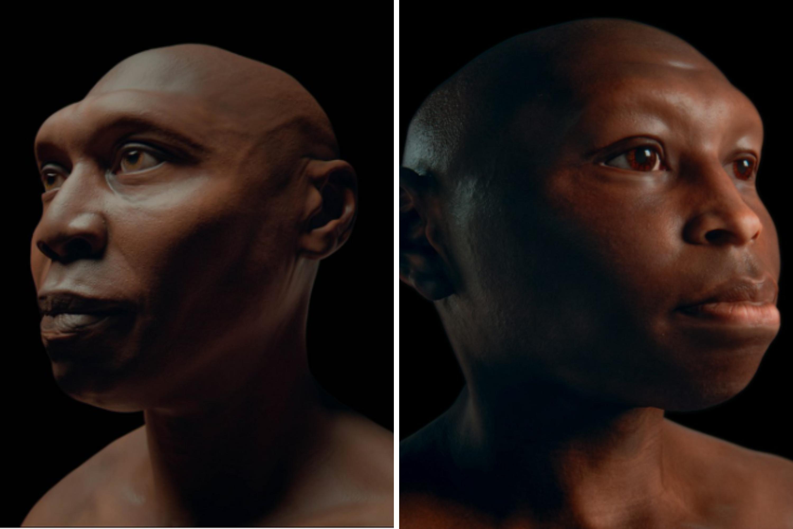 Newly released images show 3 early human species