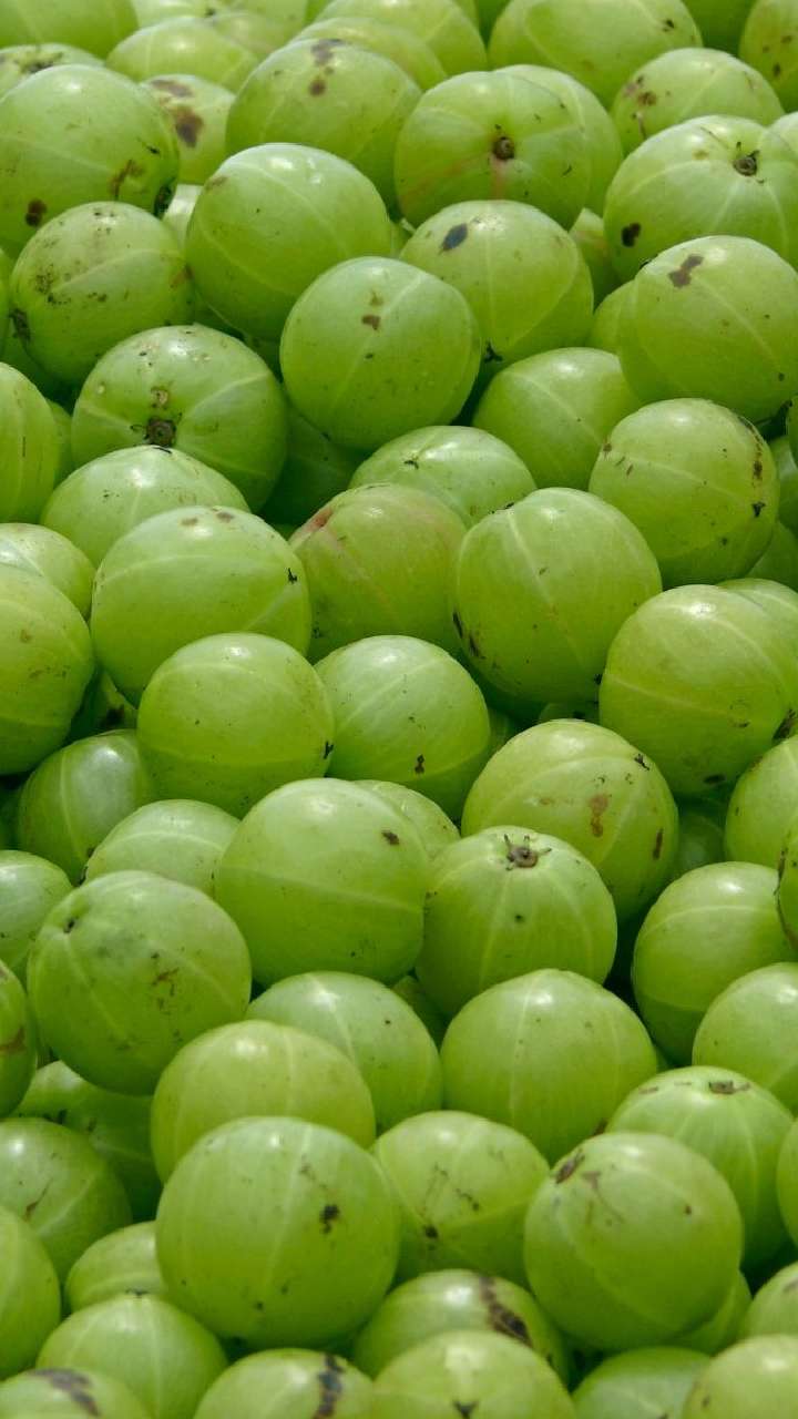 5 Side Effects Of Overconsumption Of Amlas