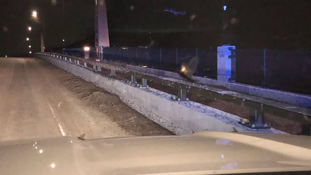 Impending mayfly hatch causes southeastern Minnesota bridge to go dark