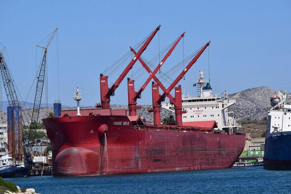 Red Sea panic as Houthi rebels launch devastating attack on cargo ship