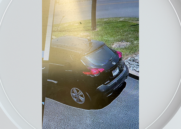 Photos show "full-blown McNapping" of Ronald McDonald figure at ...