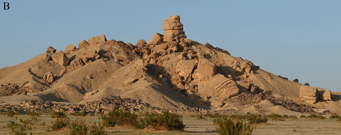 ‘Cryptic' creature with ‘window' in its eyelid found on rock. It's a ...