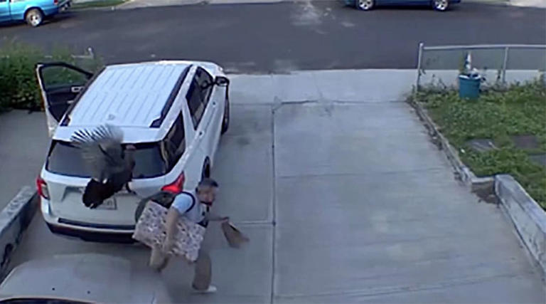 You have to see this! Man gets chased by turkey in his driveway
