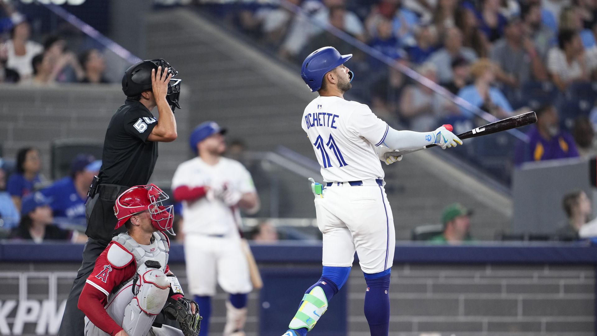 Tuesday Bantering: Bo?