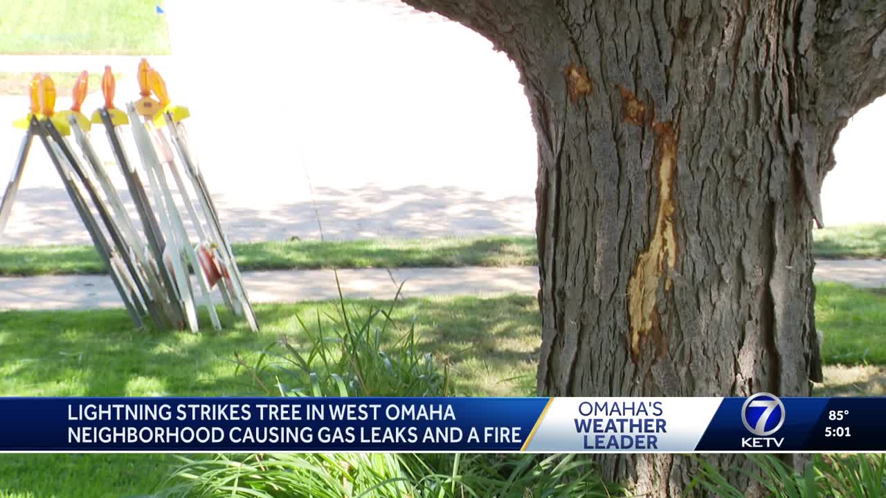A lightning strike hit a tree, causing gas leaks and a fire in a West ...