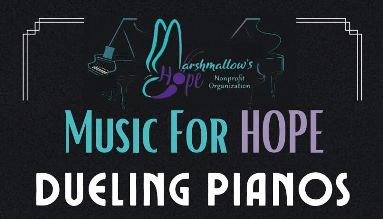 2025 Music for Hope Gala in Rockford to support mental health resources ...