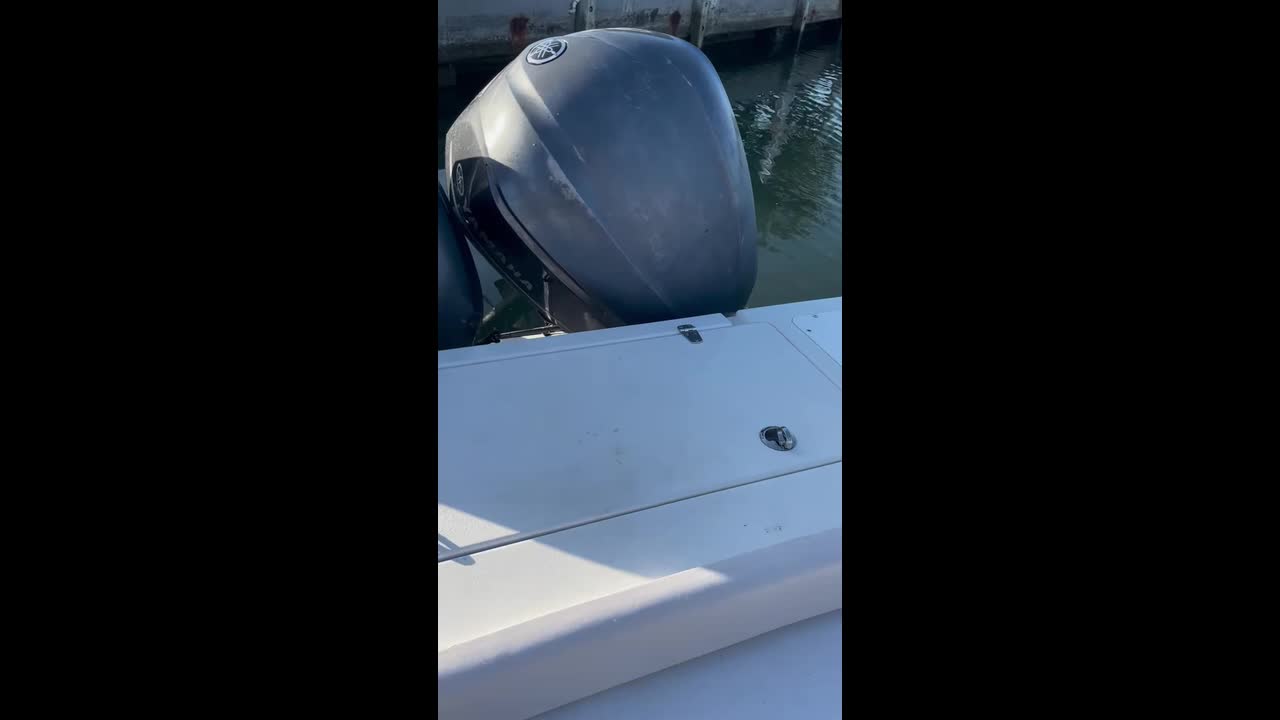 Manatee drinks water from boat engine in Big Pine Key, Florida, USA