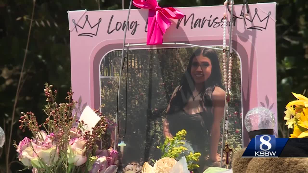 Petition seeks probe into police handling of Marissa DiNapoli’s murder