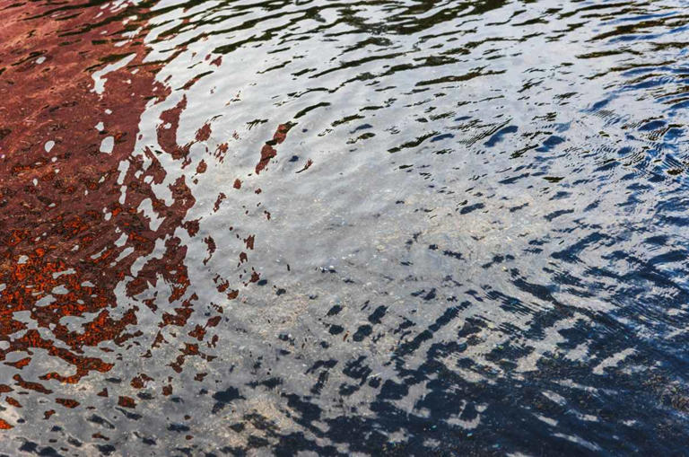 Qué hacer si el agua de lluvia se acumula en la azotea y evitar daños ...