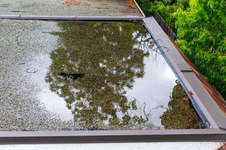 Qué hacer si el agua de lluvia se acumula en la azotea y evitar daños ...