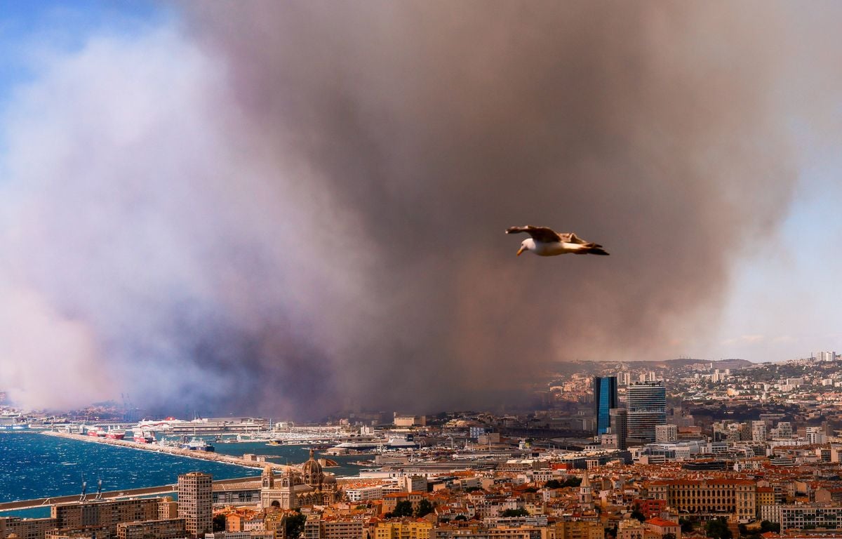 Incendies : Comment se protéger des feux quand son habitation est menacée