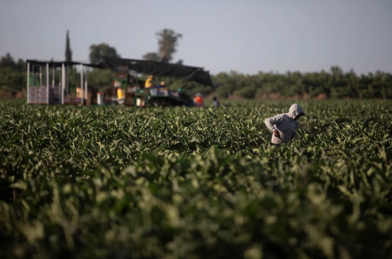 California court tosses Wonderful Company lawsuit over farmworker ...