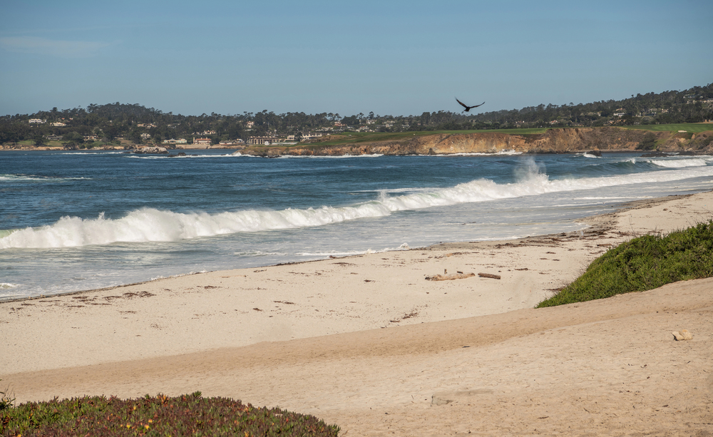 16 Experiences in Carmel-by-the-Sea