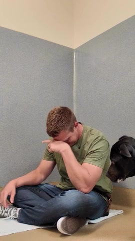 Cute Shelter Dog Gets Scared Seeing His Old Leash, Until This Happens...