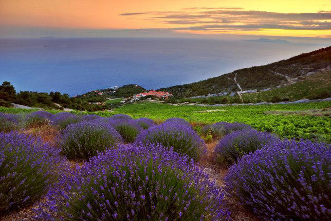 16 of the Dreamiest Lavender Farms Around the World