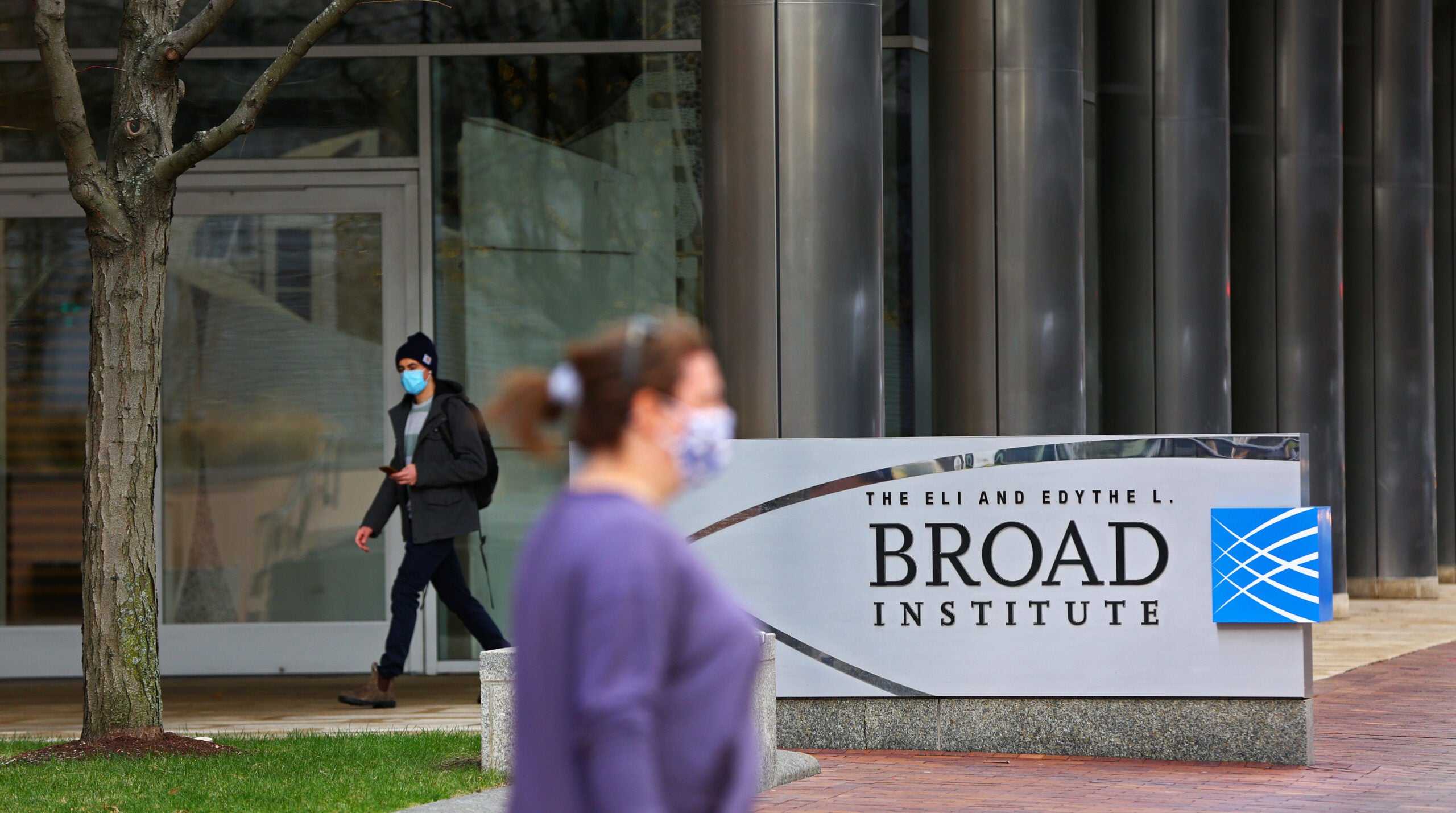 Research institute, affiliated with Harvard and MIT, lays off 75