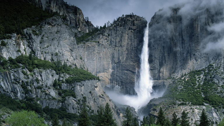 Netflix and thrill: Watch the new trailer for Untamed, the murder ...