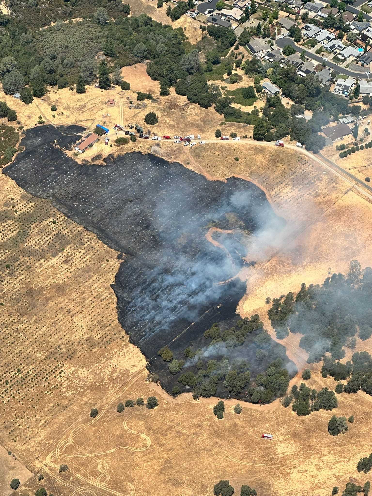 Cal Fire responds to grass fire in ﻿﻿﻿Kingsville