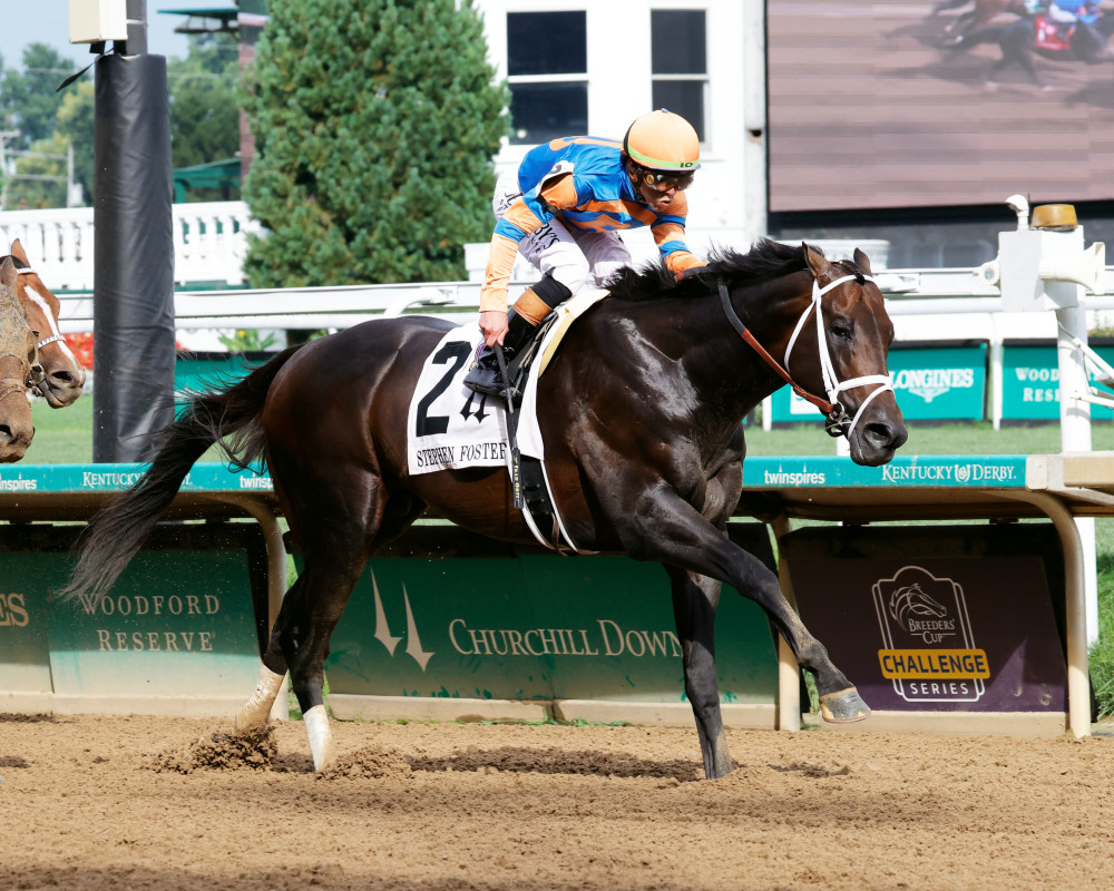 Todd Pletcher Has Elite Trio Set For Breeders’ Cup Classic