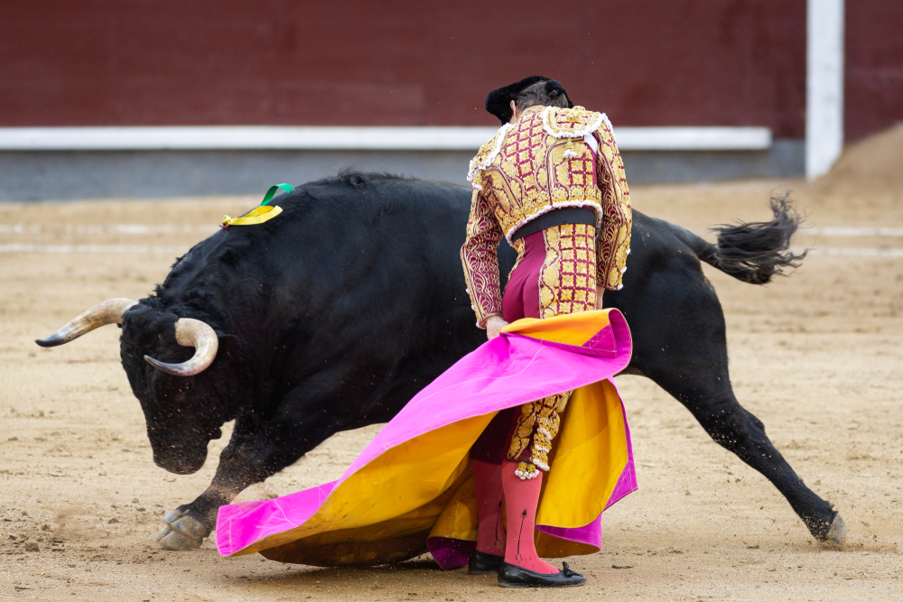It's Official! Mexico City Has Banned Bullfighting, Ending A 500-Year ...