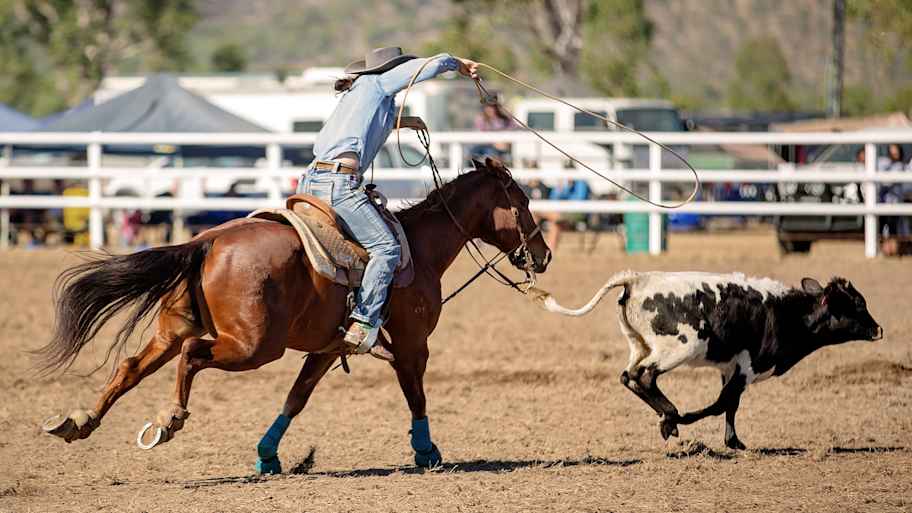 Macon Murphy Makes Big Cowboy Christmas Push In Race For Second NFR ...