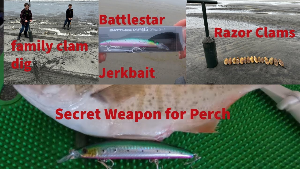 2 Days at the Beach: Razor Clams, Scouring the Structure at Low Tide ...