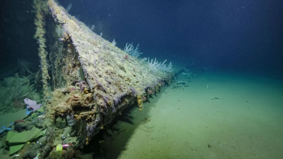A torpedoed US Navy ship escaped the Pacific in reverse, using coconut ...