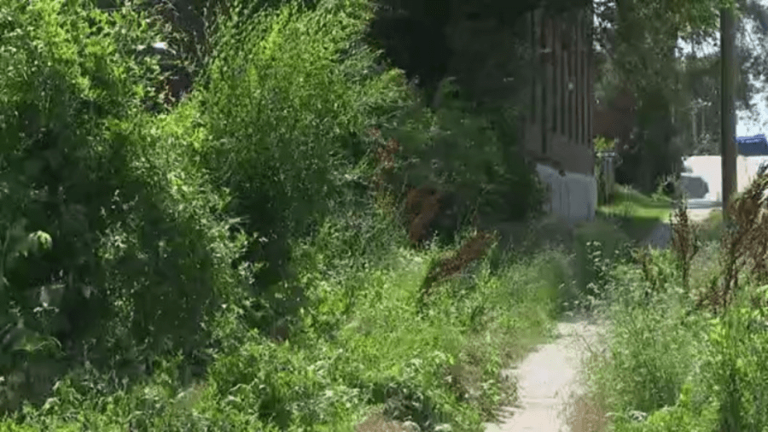 Kansas City homeowners want local eyesore near 39th and Chestnut gone