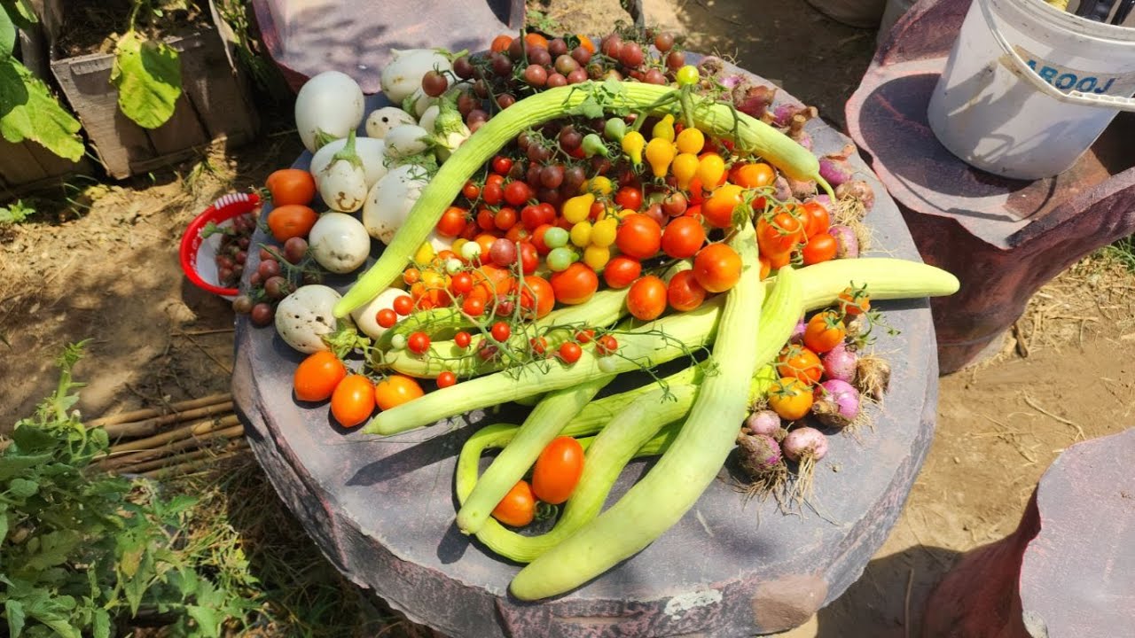 How to Start Growing Vegetables at Home