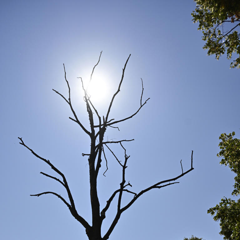 Heißester jemals in Westeuropa gemessener Juni