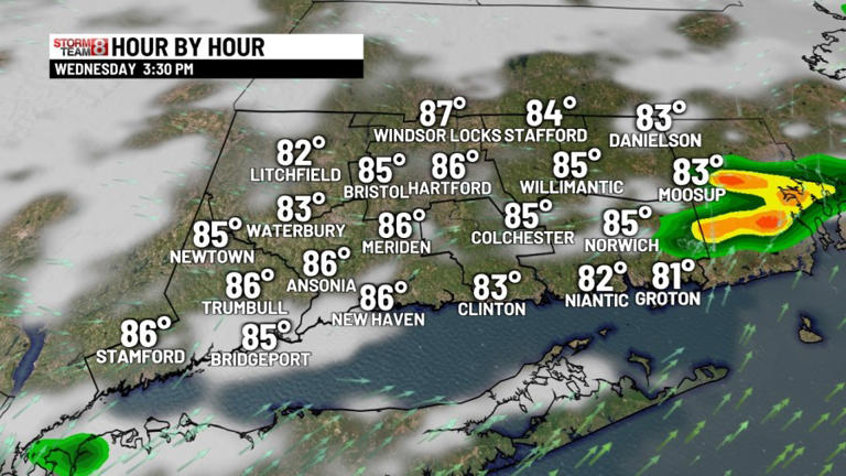 A spotty shower or storm today with endless humidity ahead