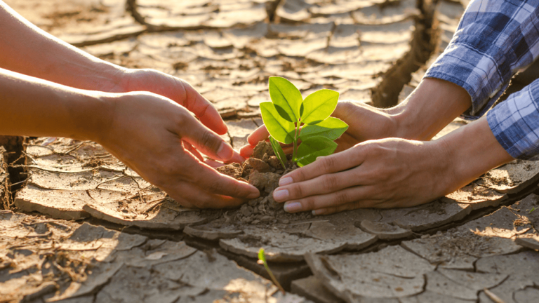 Kansas City homeowners want local eyesore near 39th and Chestnut gone