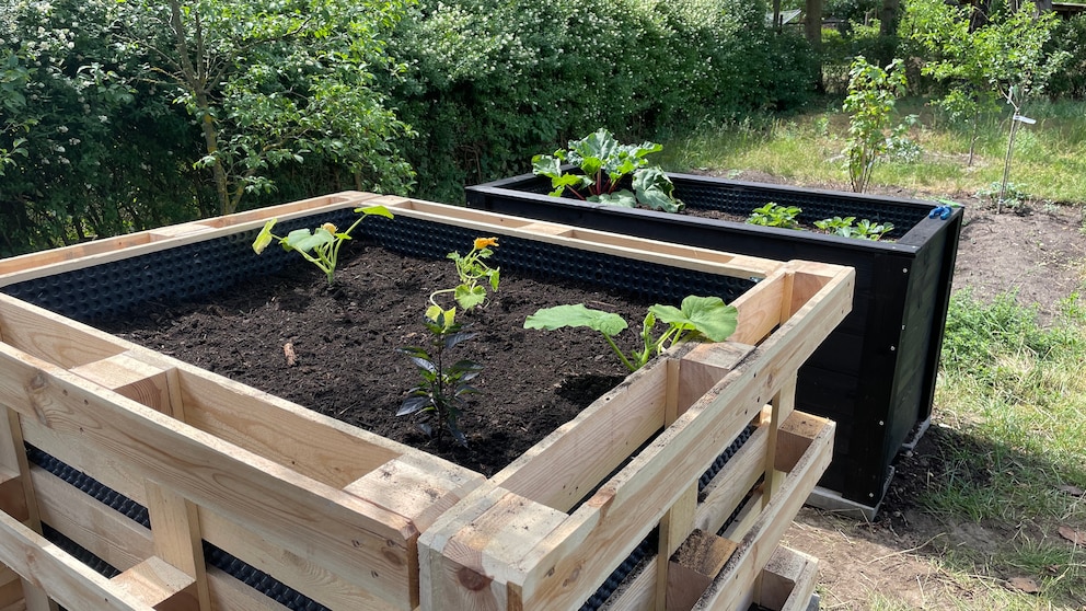 How to Build a Raised Garden Bed from Pallets