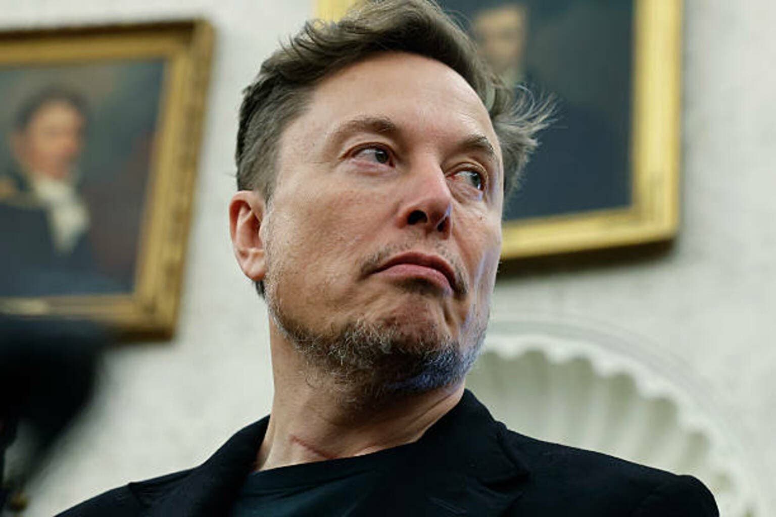 'Shut up,' Elon Musk tells Tesla bull Dan Ives