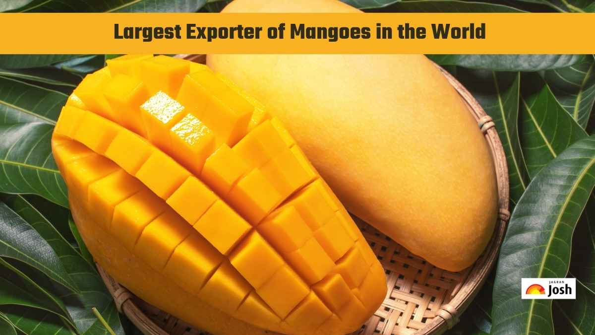 Which Country is the Largest Exporter of Mangoes in the World?