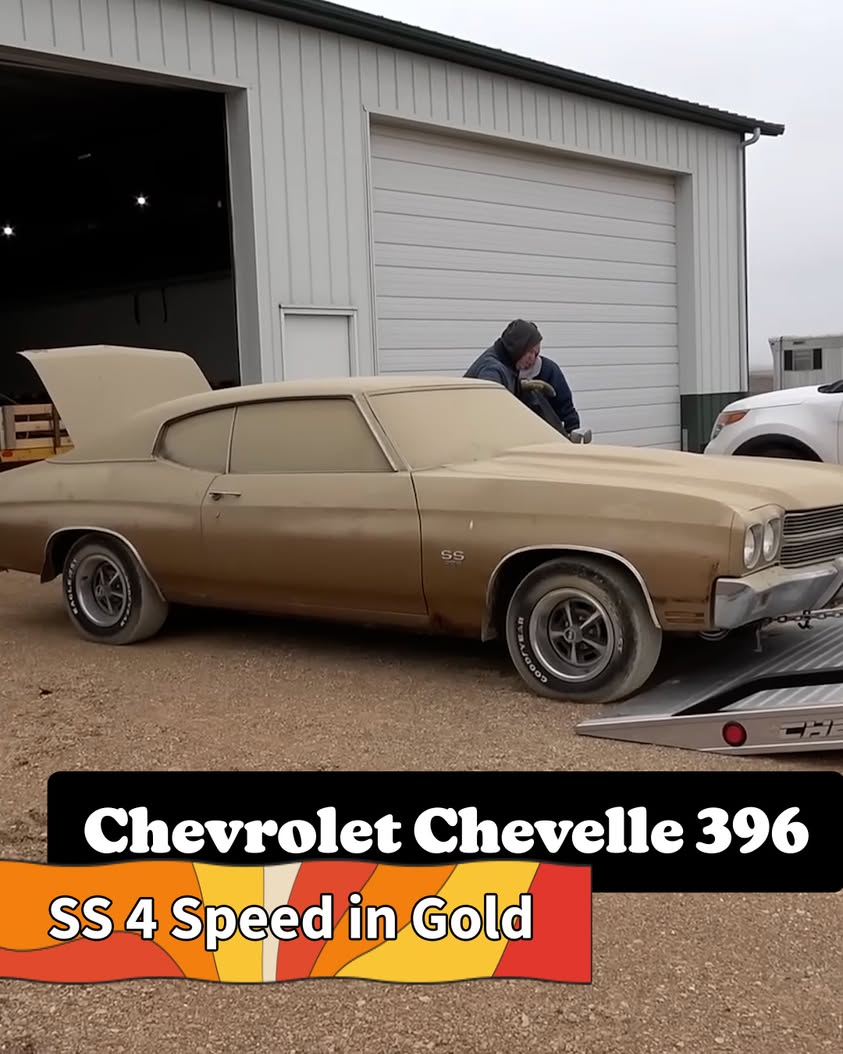 47-Year Quest Fulfilled: The Epic Chevelle Discovery!