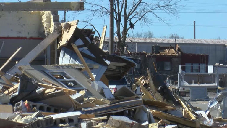 Chi è Mark, il fratello adottivo di Jannik Sinner e cosa fa nella vita?