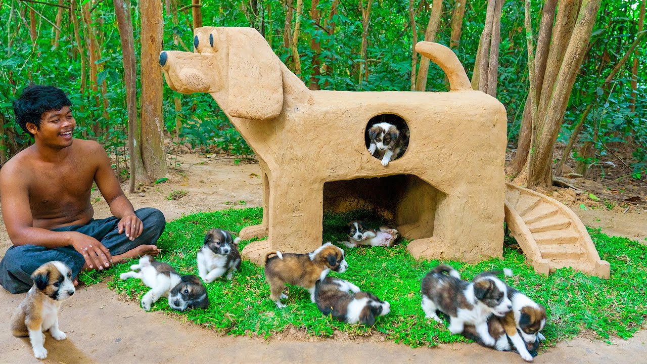 Building a Mud Dog House for Rescued Puppies