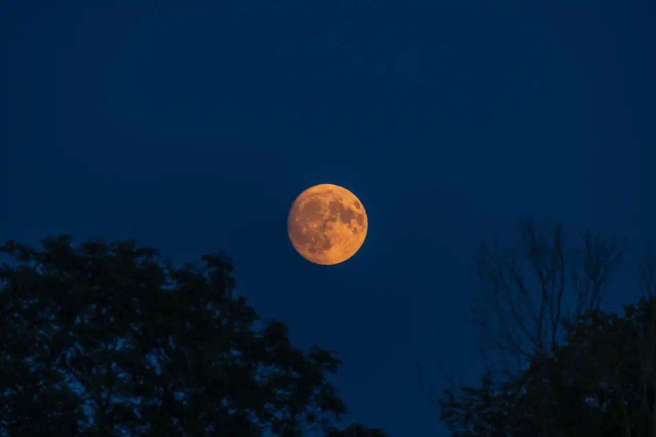 Quando e como ver a Lua do Veado 2025, a primeira lua cheia do Verão