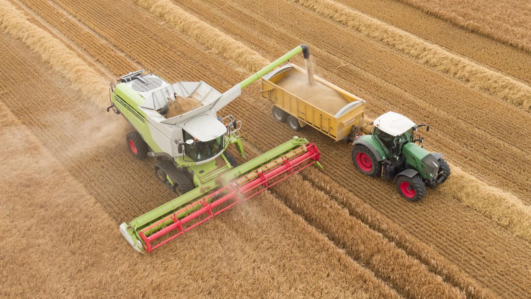 Half of farms not making sustainable profit