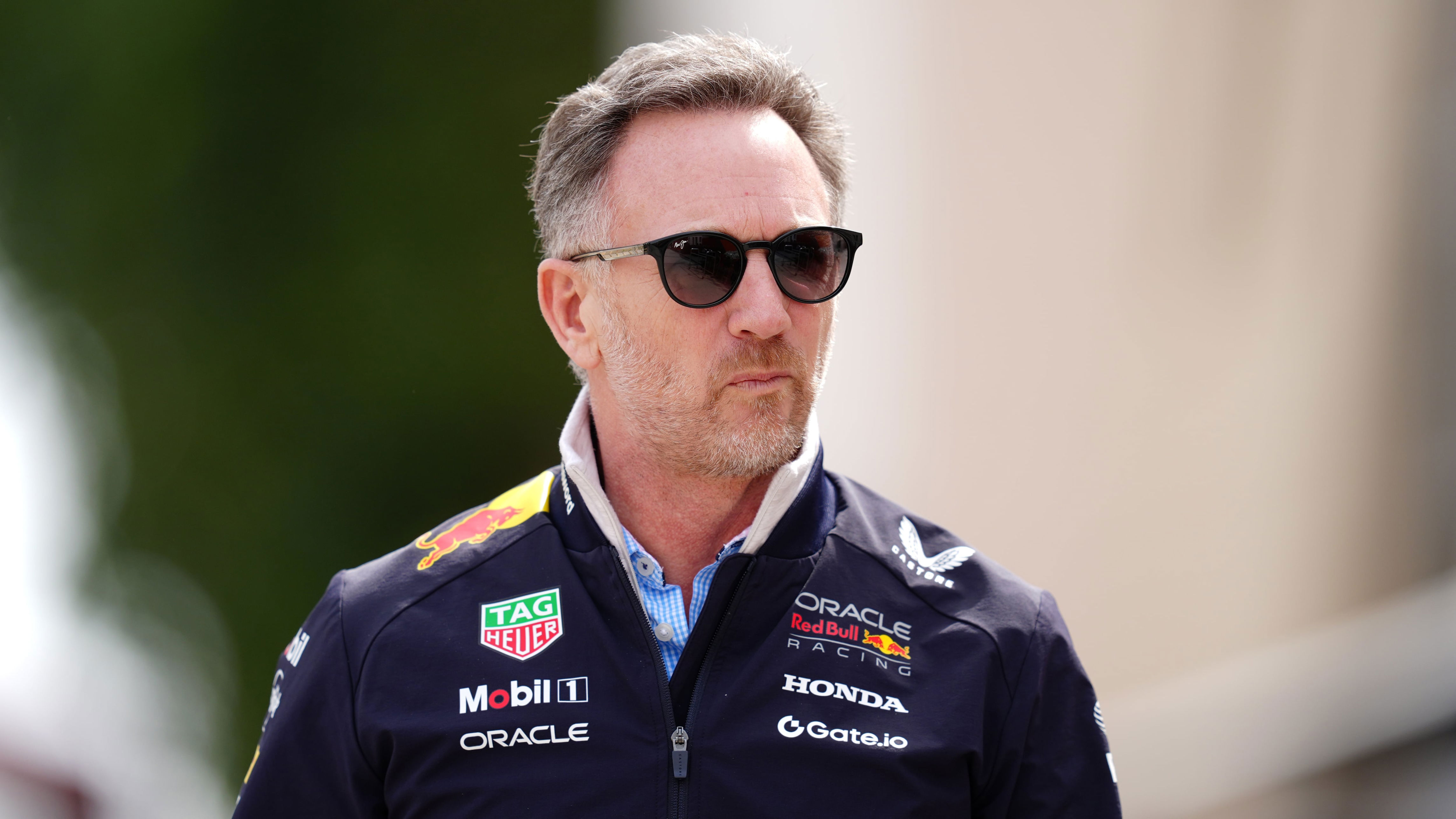Red Bull sack team principal Christian Horner