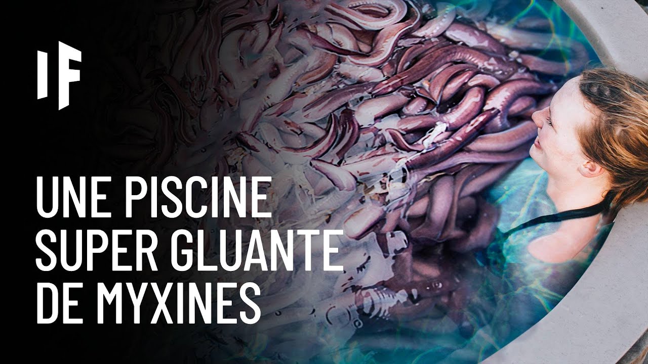 Que se passerait-il si vous tombiez dans une piscine de myxines