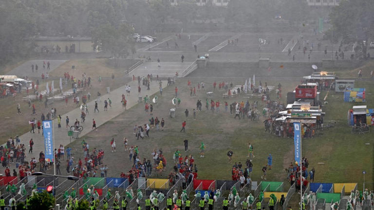 Scientists discover Burmese pythons have never-before-seen cells that ...