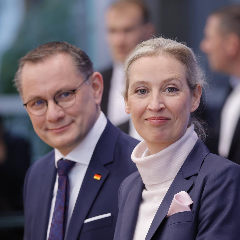 Umgang mit der rechtsextremen AfD: Verbieten oder wegregieren?