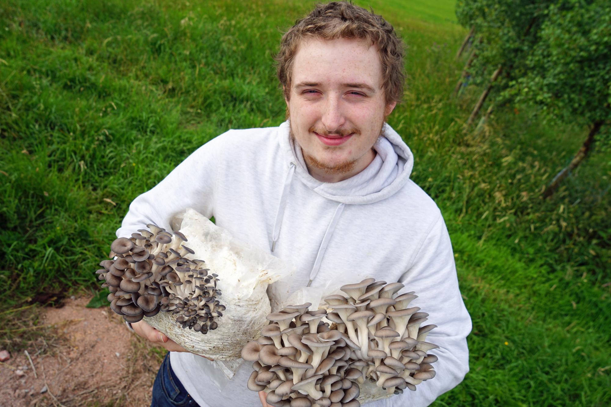 Businessman wants to make Buxton the ‘capital of funghi’ with Blue ...