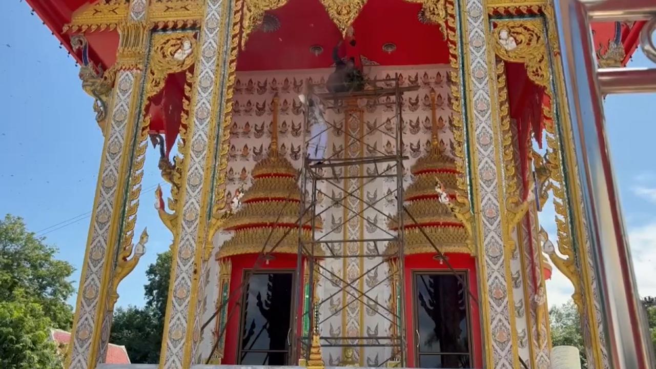 Expert honey hunter removes giant bee hive on temple ceiling