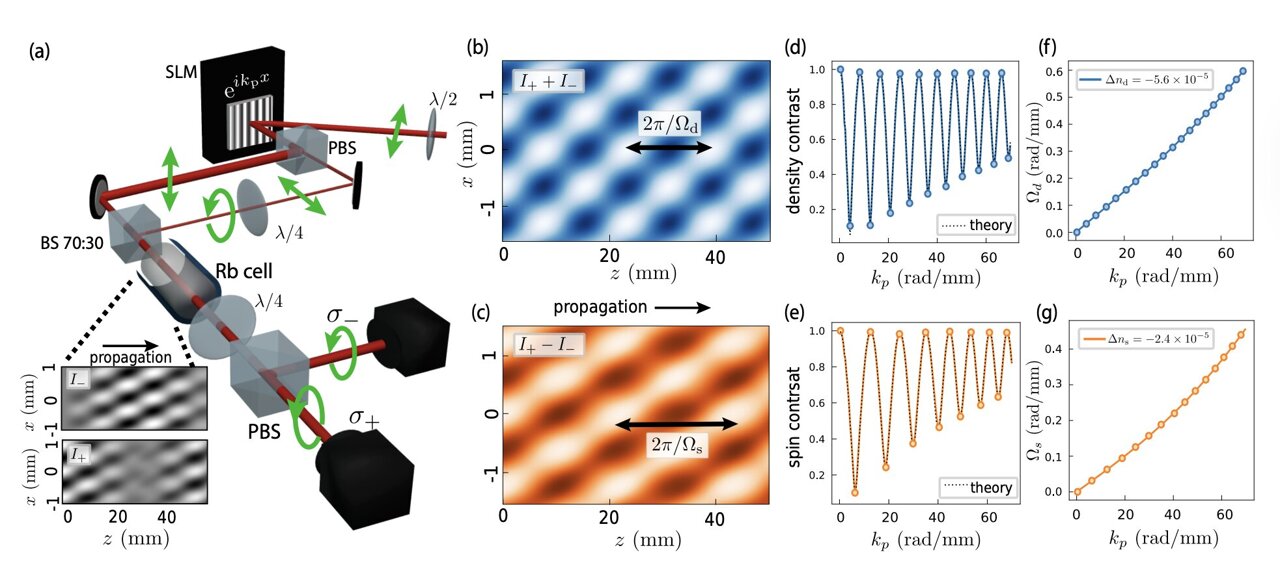 Scientists provide clear observation of spin and density modes in a two-component fluid of light