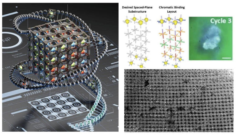 Need a new 3D material? Build it with DNA