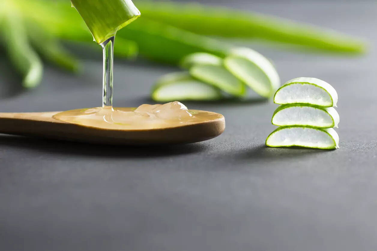 Amla vs Aloe Vera: What’s better for hair growth?