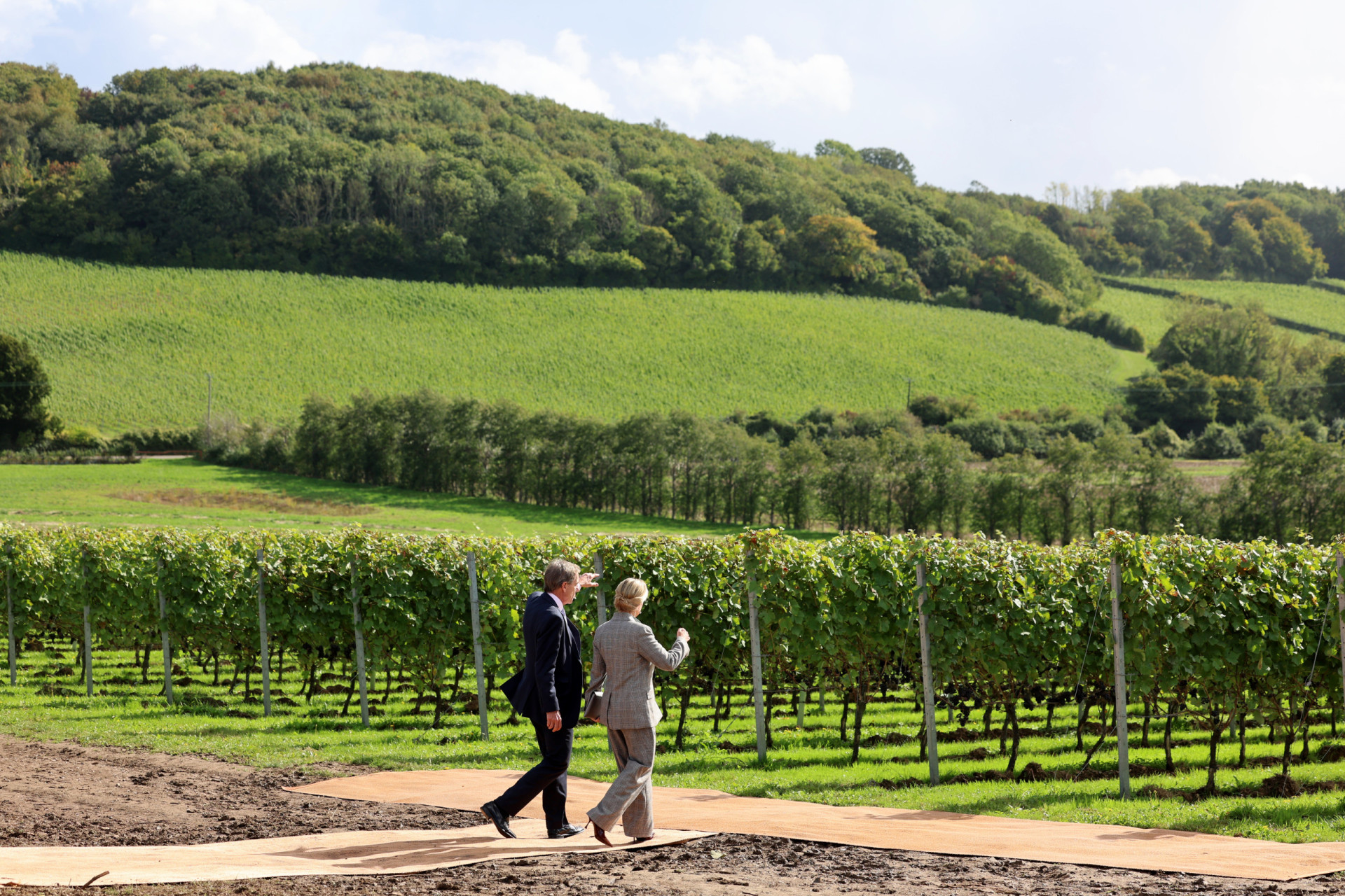 Countries with the best wines in the world